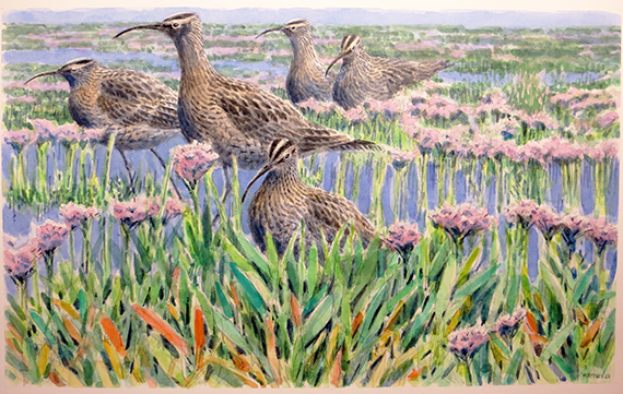 Mike Warren - Wildlife Artist and Designer