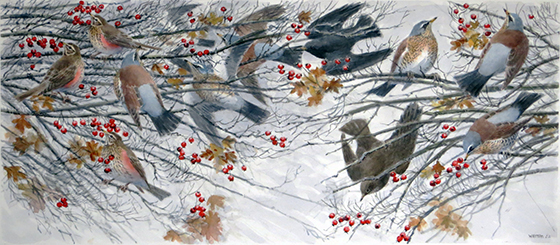 Mike Warren - Wildlife Artist and Designer