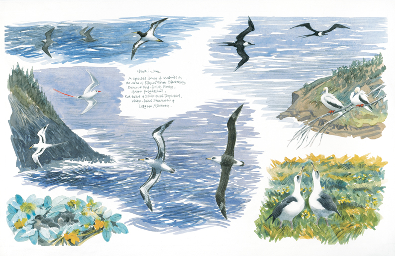 Mike Warren - Wildlife Artist and Designer