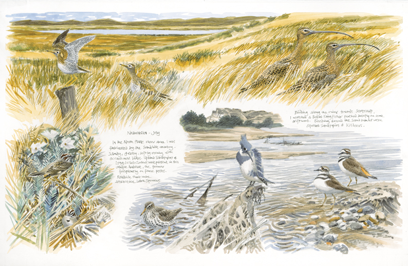 Mike Warren - Wildlife Artist and Designer