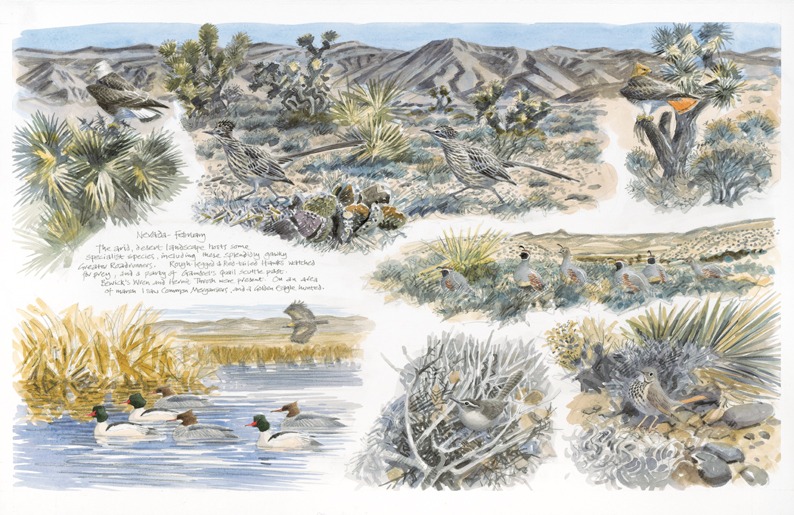 Mike Warren - Wildlife Artist and Designer