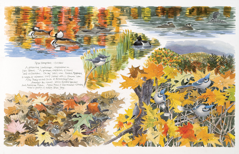 Mike Warren - Wildlife Artist and Designer