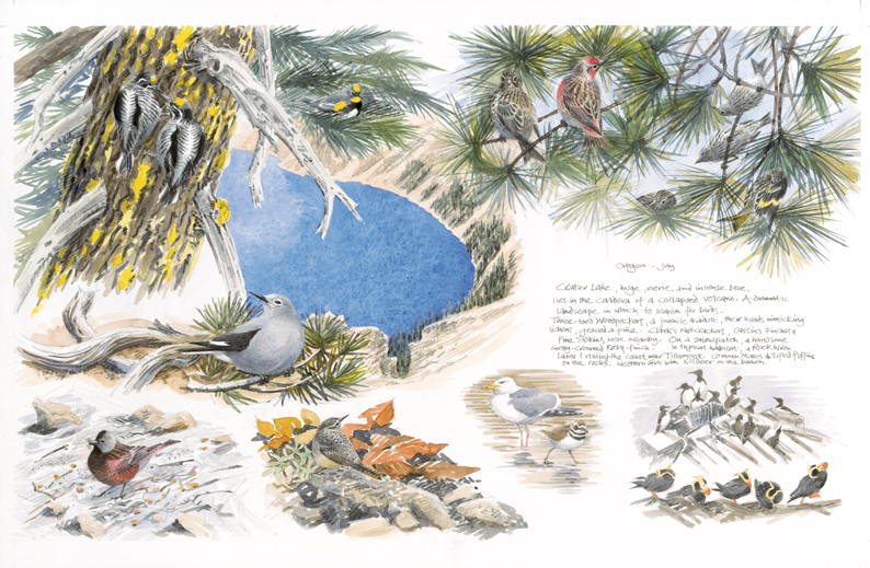 Mike Warren - Wildlife Artist and Designer